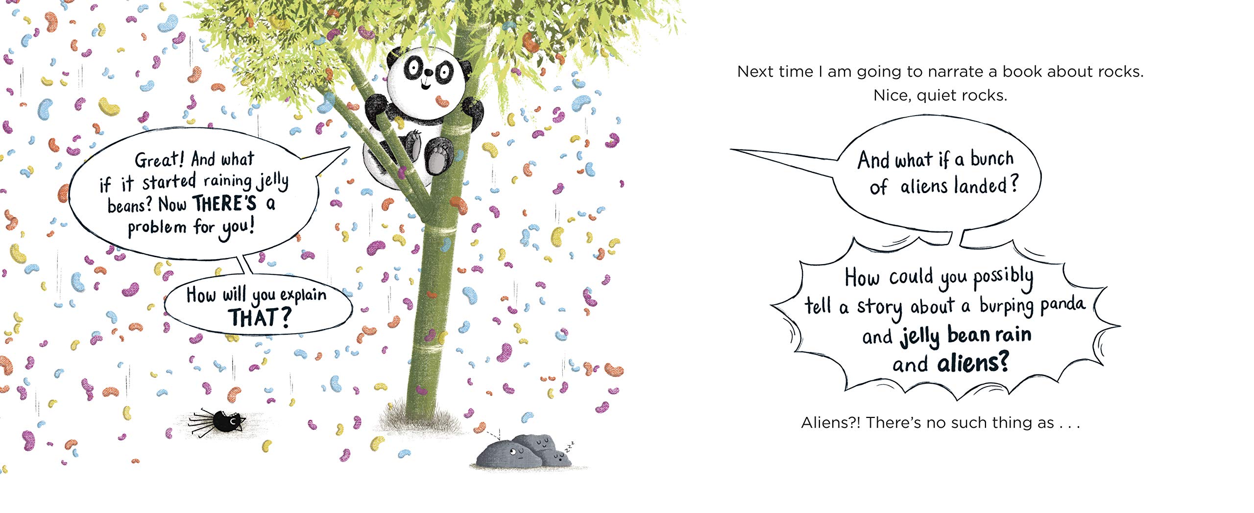 THE PANDA PROBLEM – THE LITTLE BOOKWORMS